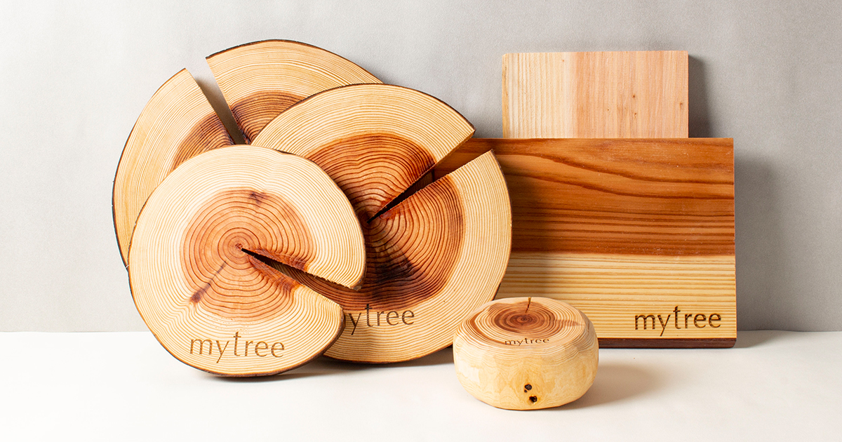 mytree（マイツリー）｜新着NEWS